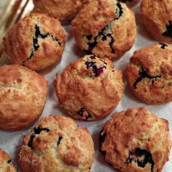 Date Filled Pastries Imqaret | Wellbeing Barista